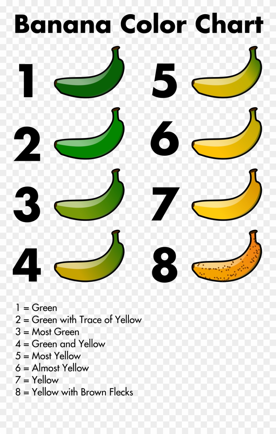 Download 120 Chart Cliparts - Banana Colors - Png Download (#738460 ...