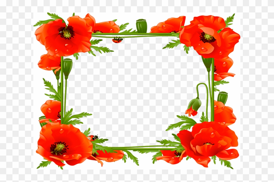 Download Poppy Frame Clipart Common Poppy Picture Frames - Poppies ...