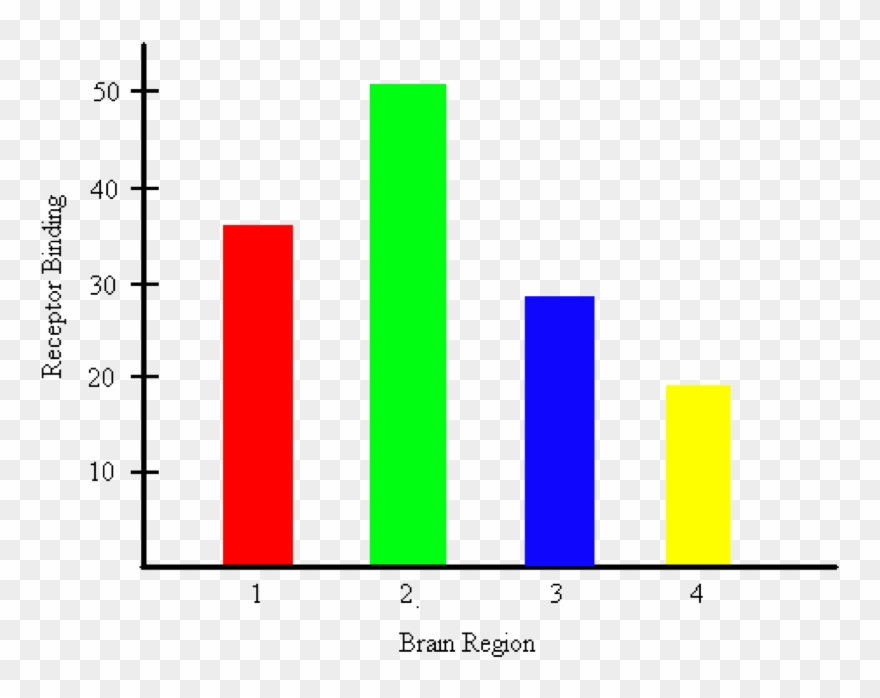 Download Blank Bar Graph Clipart Www Imgkid Com The Image Kid - Empty ...