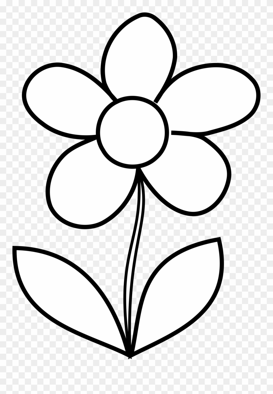 Simple Flower Design Drawing With Colour Mundopiagarcia