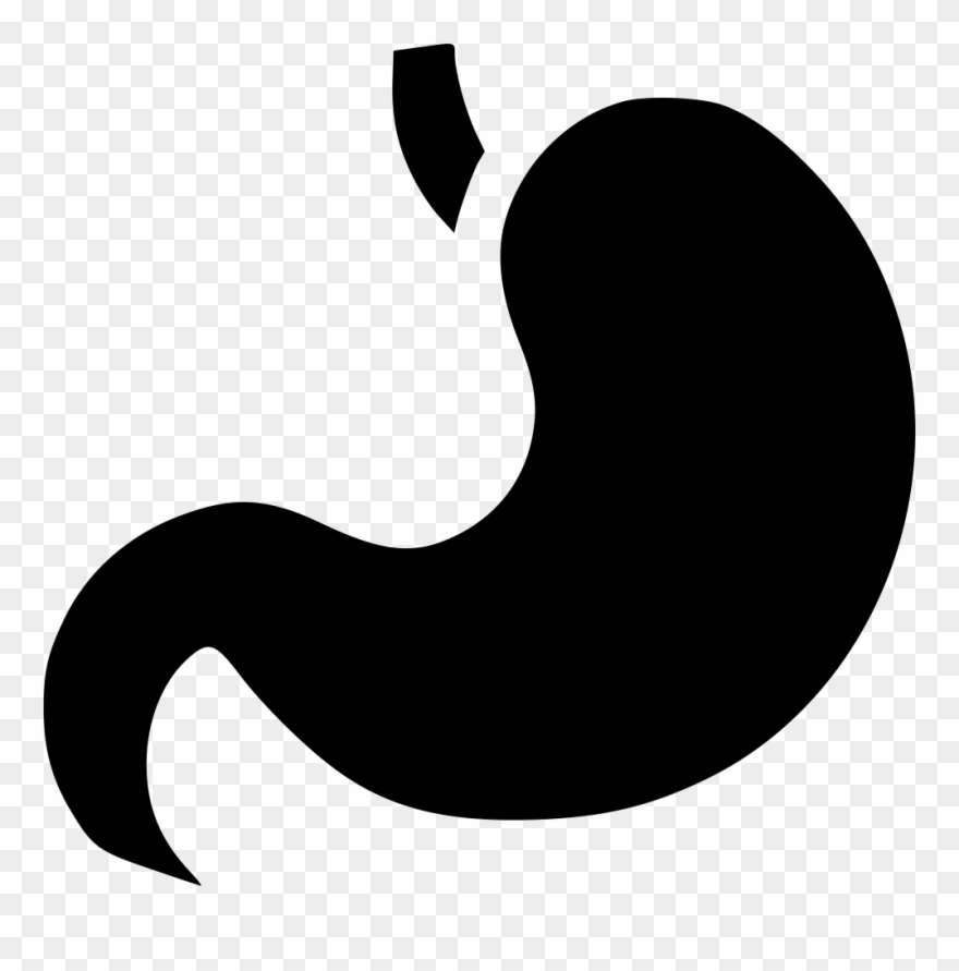 Digestion Stomach Getroenterology Organ Healthcare - Digestive Aid Png ...