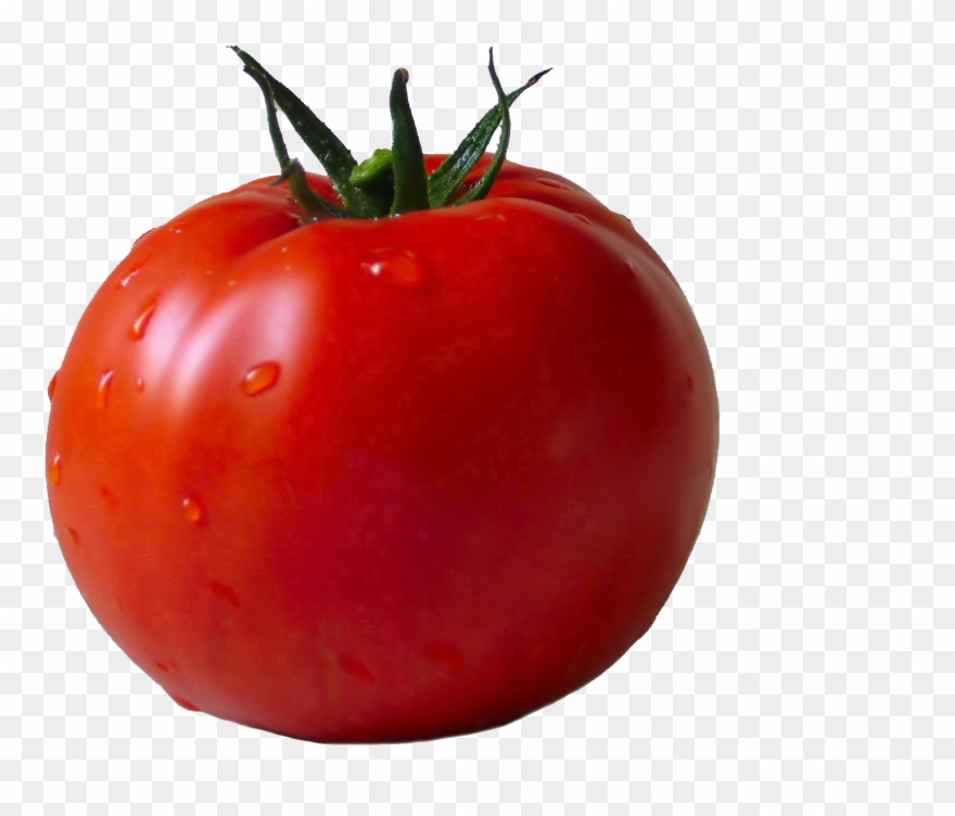 Lettuce Clipart Single Vegetable - Tomato Transparent Png (#785426) - PinClipart