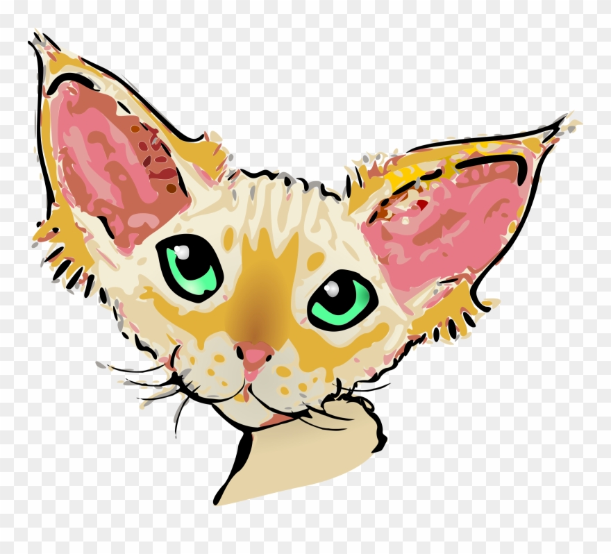 Clip Art Details - Devon Rex 2 - Png Download (#785803) - PinClipart