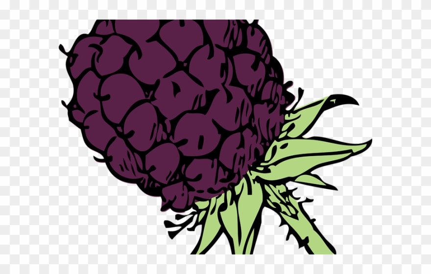 Berries Clipart Berry Bush - Blackberry Clip Art - Png Download ...