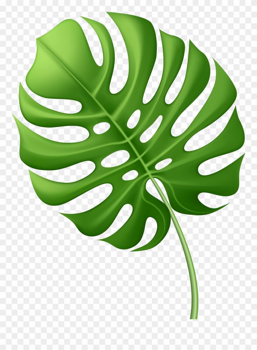 Download Full Clipart - Png Download (#92623) - PinClipart