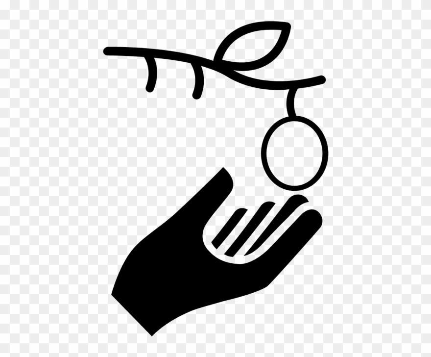 Year 3-4 Clipart (#950614) - PinClipart