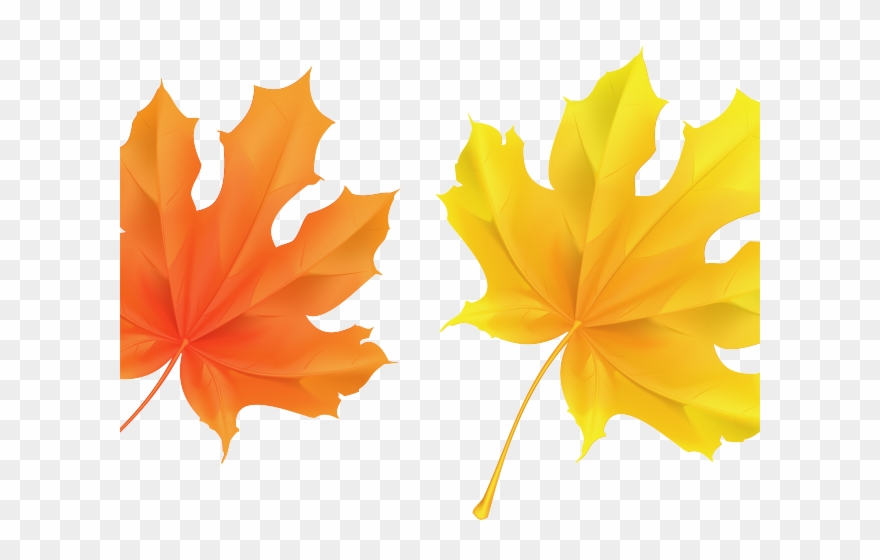 Download Yellow Flower Clipart Leave Clipart - Fall Leaf Clipart No ...